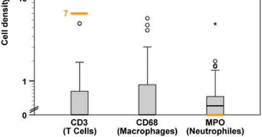 WMC Research | Walter M Chesnut | Substack