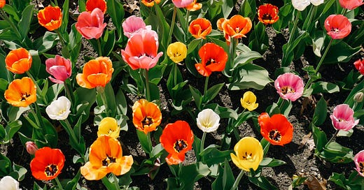 A Common Thread | Jess Kirby | Substack