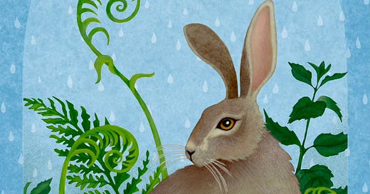 Messages from Sea & Cedar with Joanna Powell Colbert | Substack