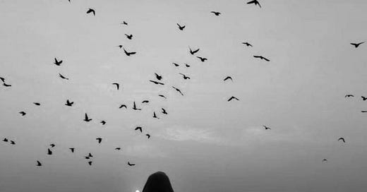 Literary Bruja - A weekly column | Juliet Diaz | Substack