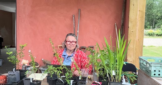 Common Farm Flowers by Georgie Newbery | Substack