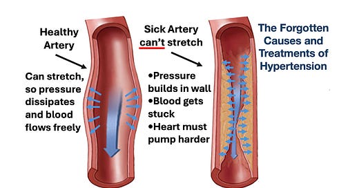 The Forgotten Side of Medicine | A Midwestern Doctor | Substack