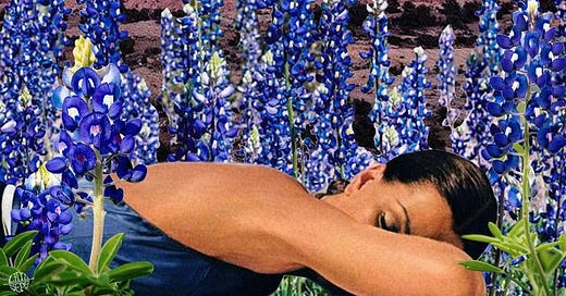 Yael’s Newsletter | Yael Shemer | Substack