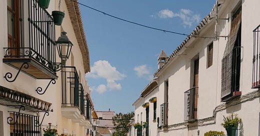 Ashley’s Substack | Ashley Torres | Substack