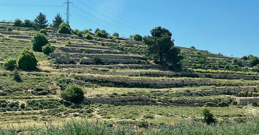 The Floutist | Patrick Lawrence | Substack