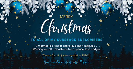 Shell’s Substack | Substack