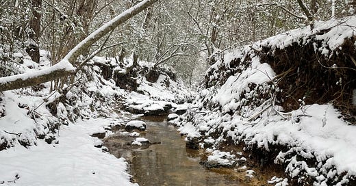 Jessica Adam | Substack