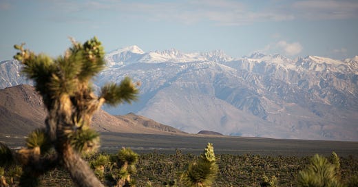 Forgotten Lands Project | Josh Jackson | Substack