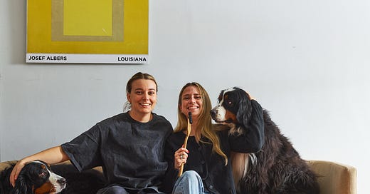 The Great Ones Play Hurt. | Erika Ayers Badan | Substack