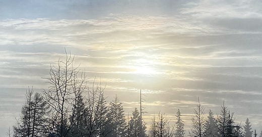 Wild Life with Amy Jay | Substack