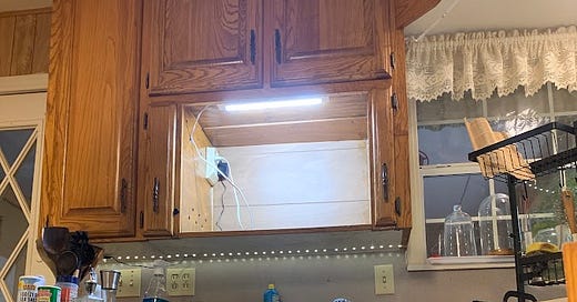 Cedar’s Substack | Cedar Sanderson | Substack