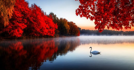 Visually AI by Heather Cooper | Substack