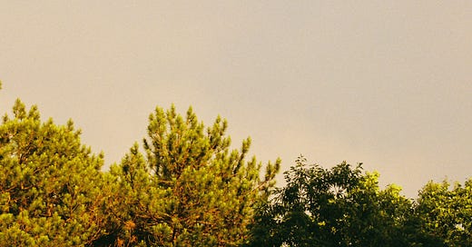 Heart & Hope | Anna Tran | Substack