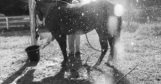 The Great Perhaps | Kim Foster | Substack