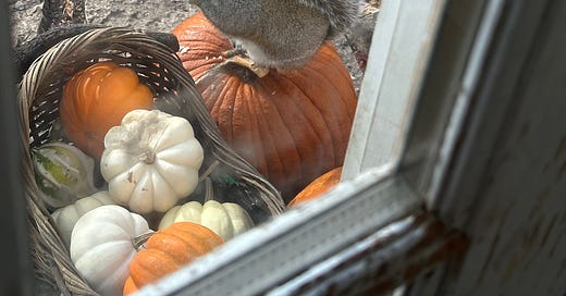 J.F. Riordan; Reflections on a Life in Exile | J. F. Riordan | Substack