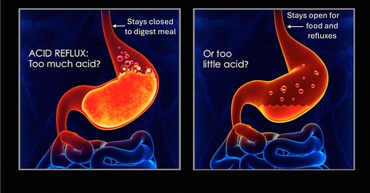 Stomach Acid Is Critical For Health