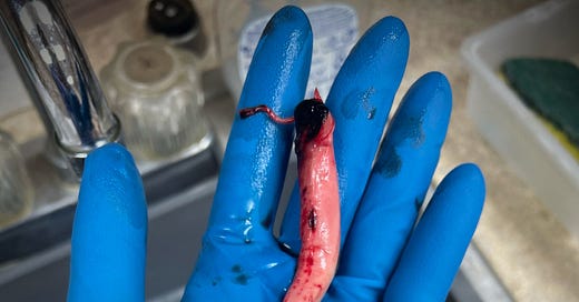 Clotastrophe | Laura Kasner | Substack