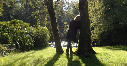 Writing from the ReWilded Side | Jennifer Comeau | Substack