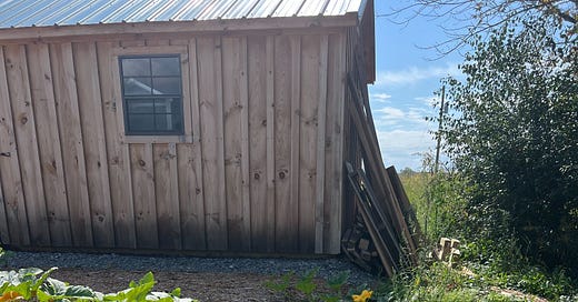 House of Green | Alexandra Fasulo | Substack