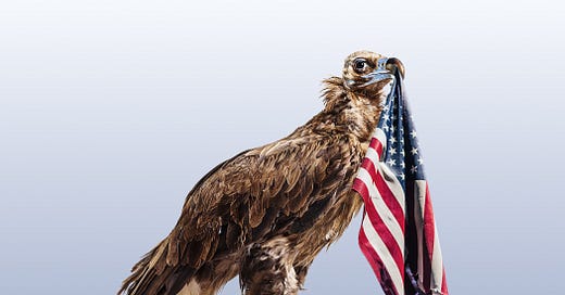 Vulture Capitalism Comes for Democracy - by Justin Glawe