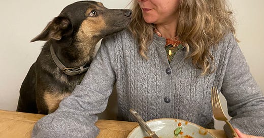And a Dog | Dr Lily Dunn | Substack