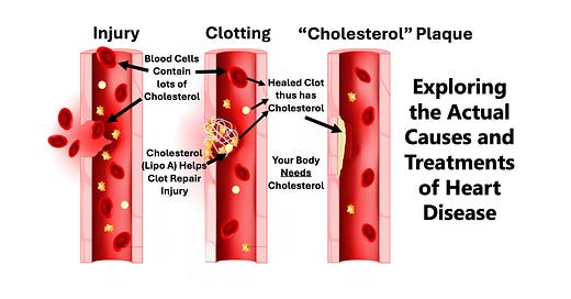 The Forgotten Side of Medicine | A Midwestern Doctor | Substack