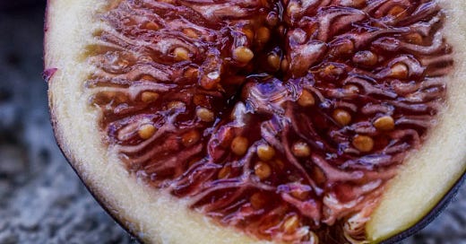 What Do Figs Taste Like? - The Fig Jam