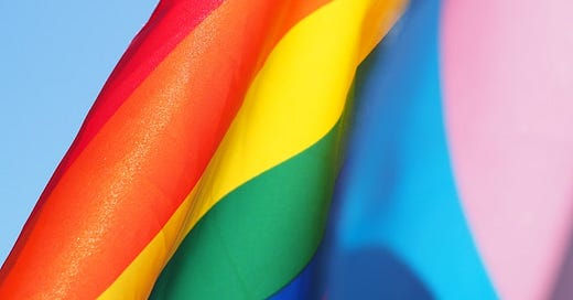 BSBSH | Ruth Hill ♿♀🏳️‍🌈🐾 🏴󠁧󠁢󠁷󠁬󠁳󠁿 🇿🇦 | Substack