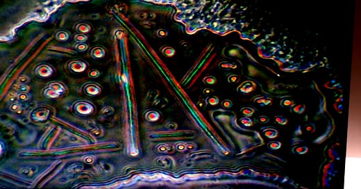 matt’s microscopy | matt. j.a.o.b | Substack