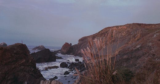 Human Stuff | Lisa Olivera | Substack