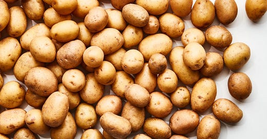 Kitchen Counter | Alistair Kitchen | Substack