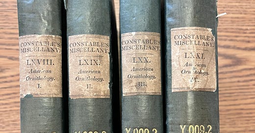 This Week in Birding | Bob Dolgan | Substack