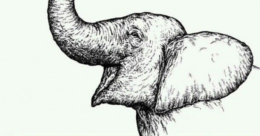 LLM Engineering: Vectors & Embeddings - by darlin