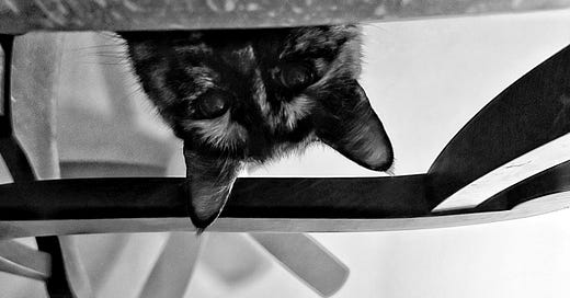 Riantly, or with Laughter | Cody 🐻 | Substack