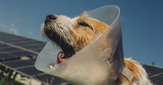 Ask E. Jean | E. Jean Carroll | Substack