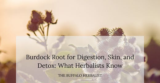 The Buffalo Herbalist | Agy | The Buffalo Herbalist | Substack