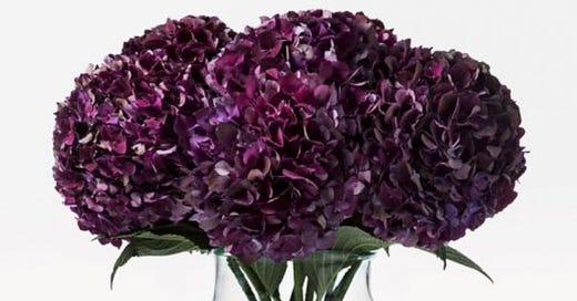 The Perfect | Substack