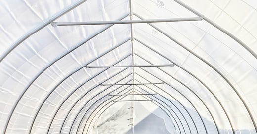 House of Green | Alexandra Fasulo | Substack