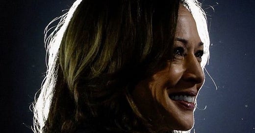 Still We Rise by Lindsay Meyer-Harley | Substack