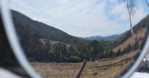 Mind Flexing | Alia Parker | Substack