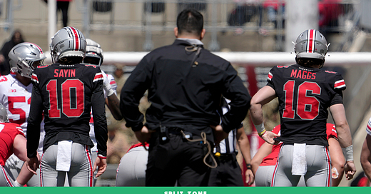 Split Zone Duo | Substack