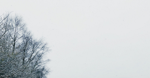 Entre Nous | Sara | Substack