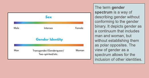 BROADview | Lisa Selin Davis | Substack