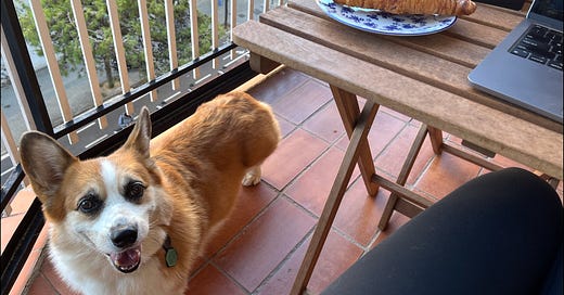 The Uncommon Executive | Yue Zhao | Substack