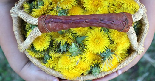 Practical Self Reliance | Ashley Adamant | Substack