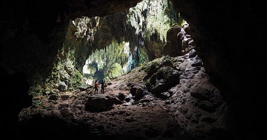 John Hawks | Substack