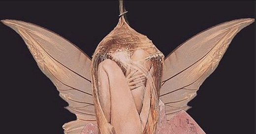 back from the borderline | mollie adler | Substack