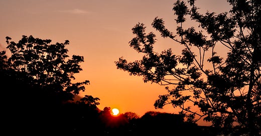 David Whyte | Substack