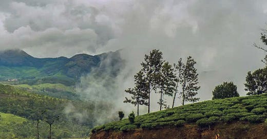 Alt Carbon's Substack | Substack