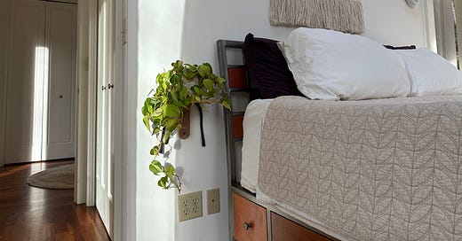 Something True | Maia Toll | Substack